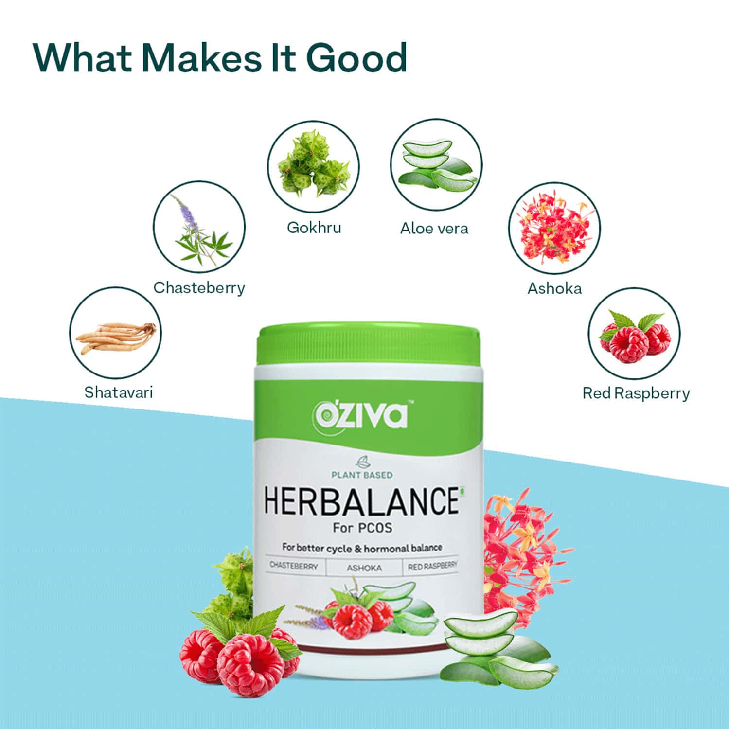 Buy OZIVA PLANT BASED HERBALANCE PCOS(250GM) Online & Get Upto 60% OFF ...