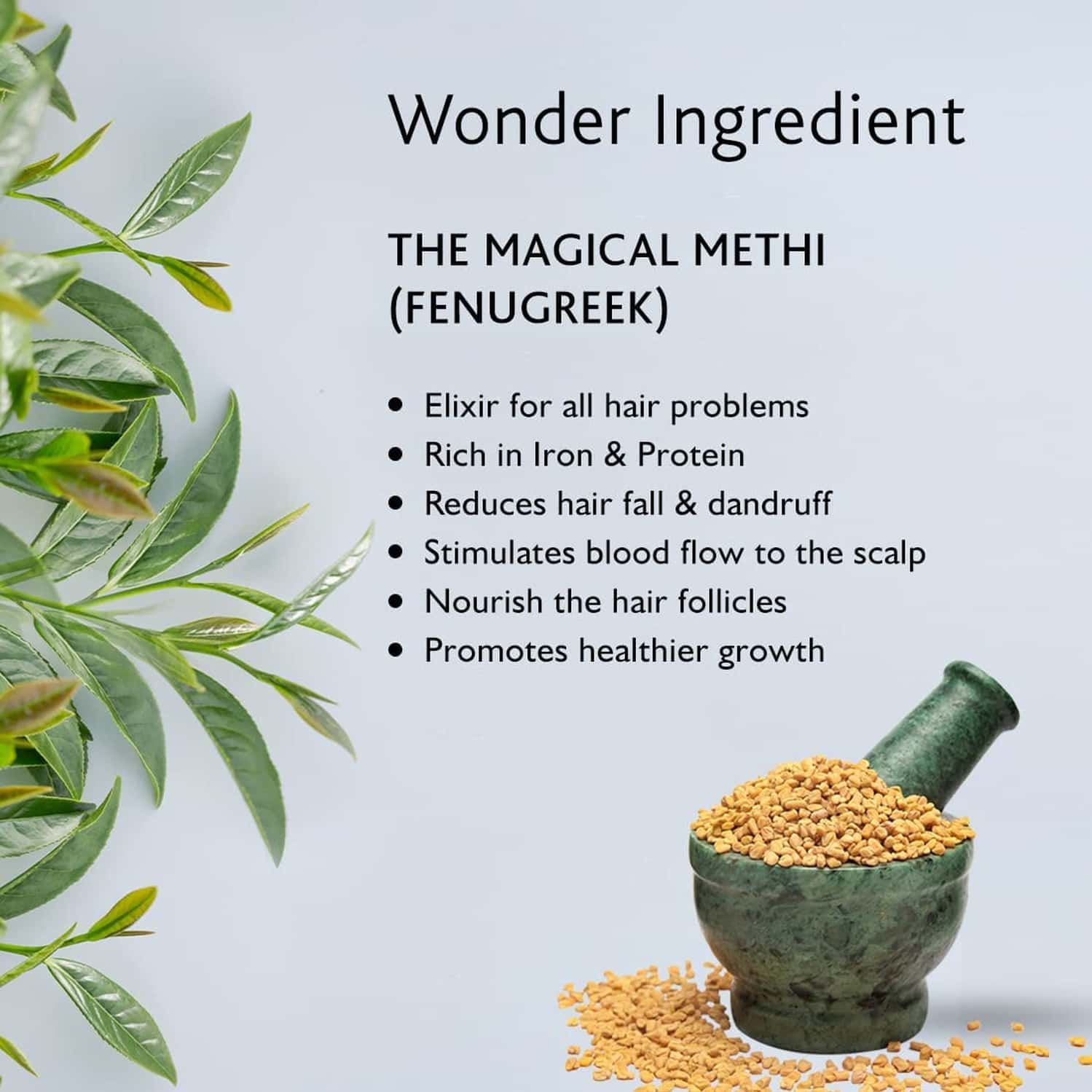 Buy MANESTREAM FENUPRO SEROIL WITH FENUGREEK AND GREEN TEA, AYURVEDIC ...