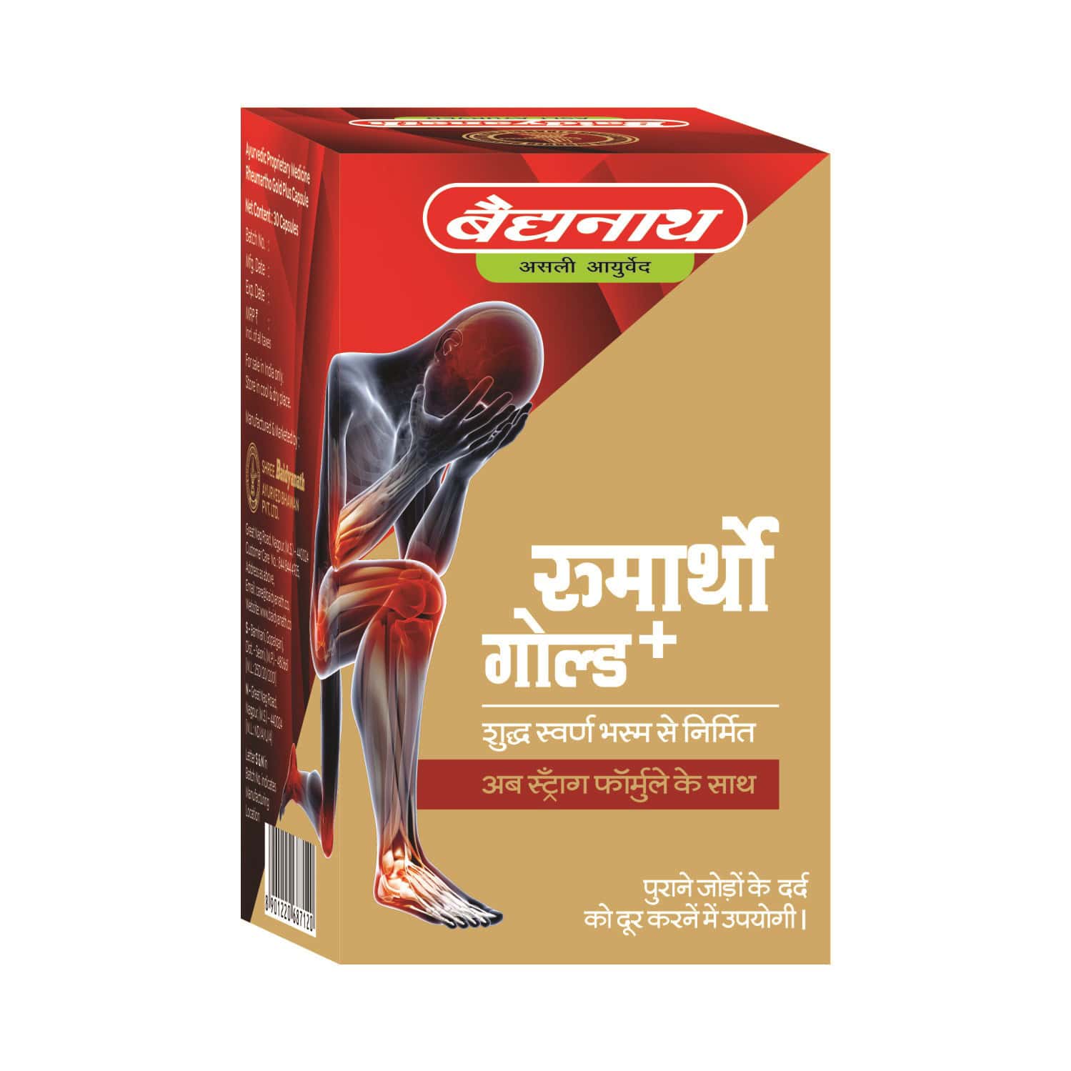 Buy BAIDYANATH NAGPUR RHEUMARTHO GOLD PLUS FOR CHRONIC JOINT PAIN ...