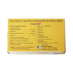 Cartigen DN Tablet: Uses, Side Effects, Price, Dosage & More Info ...