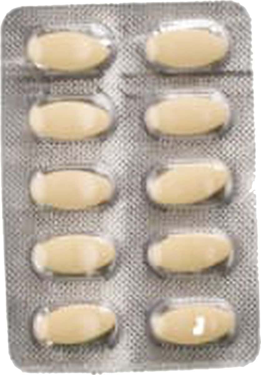 Levip 500 MG Tablet (10): Uses, Side Effects, Price & Dosage | PharmEasy